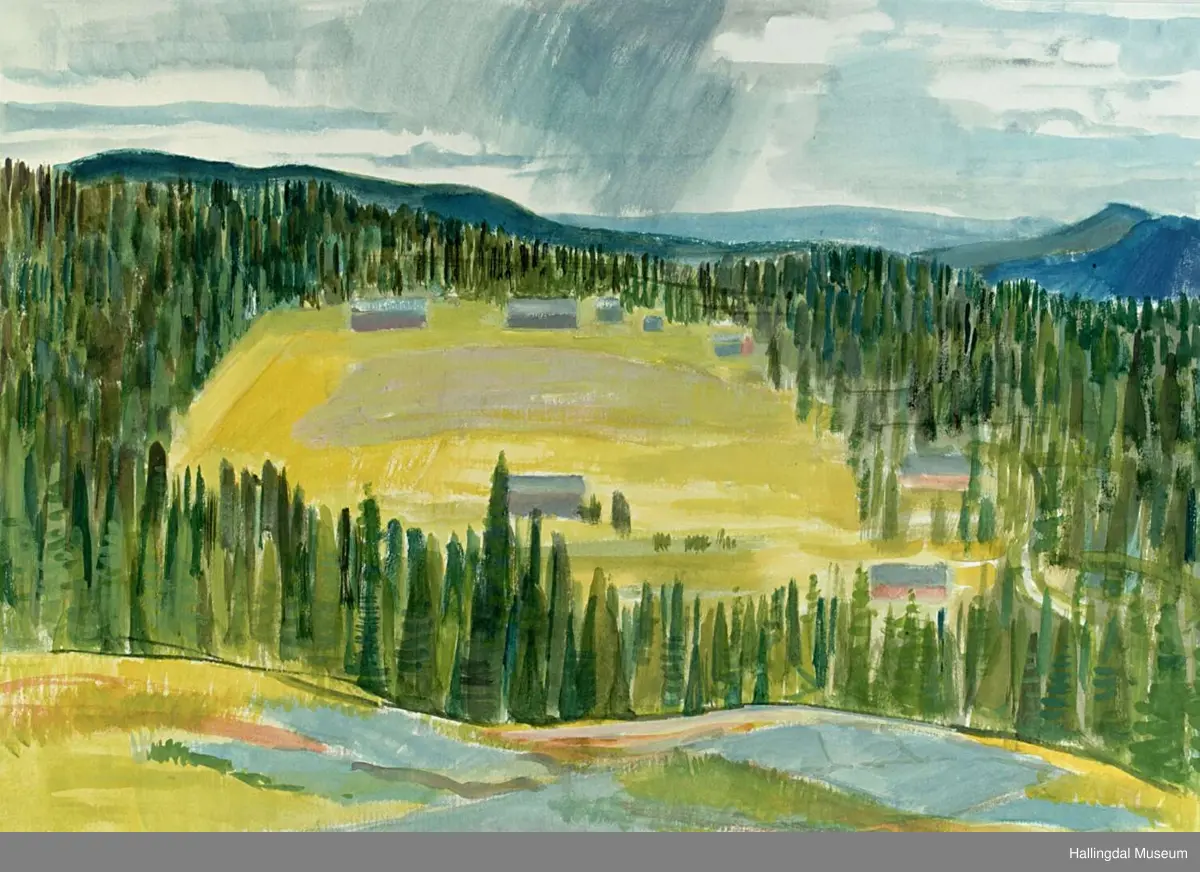 Bilde - Hallingdal Museum / DigitaltMuseum