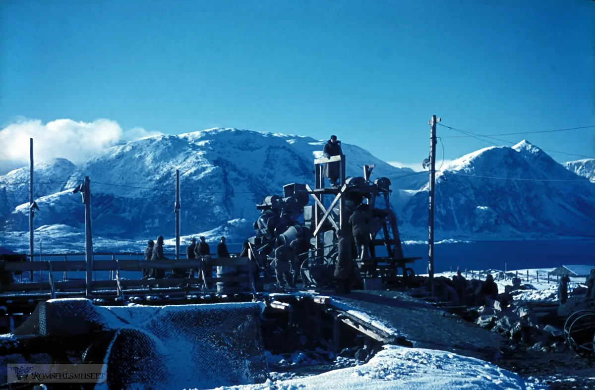 Aukra,Bilder tatt av Tyske soldater 1940-1945 på Aukra ...